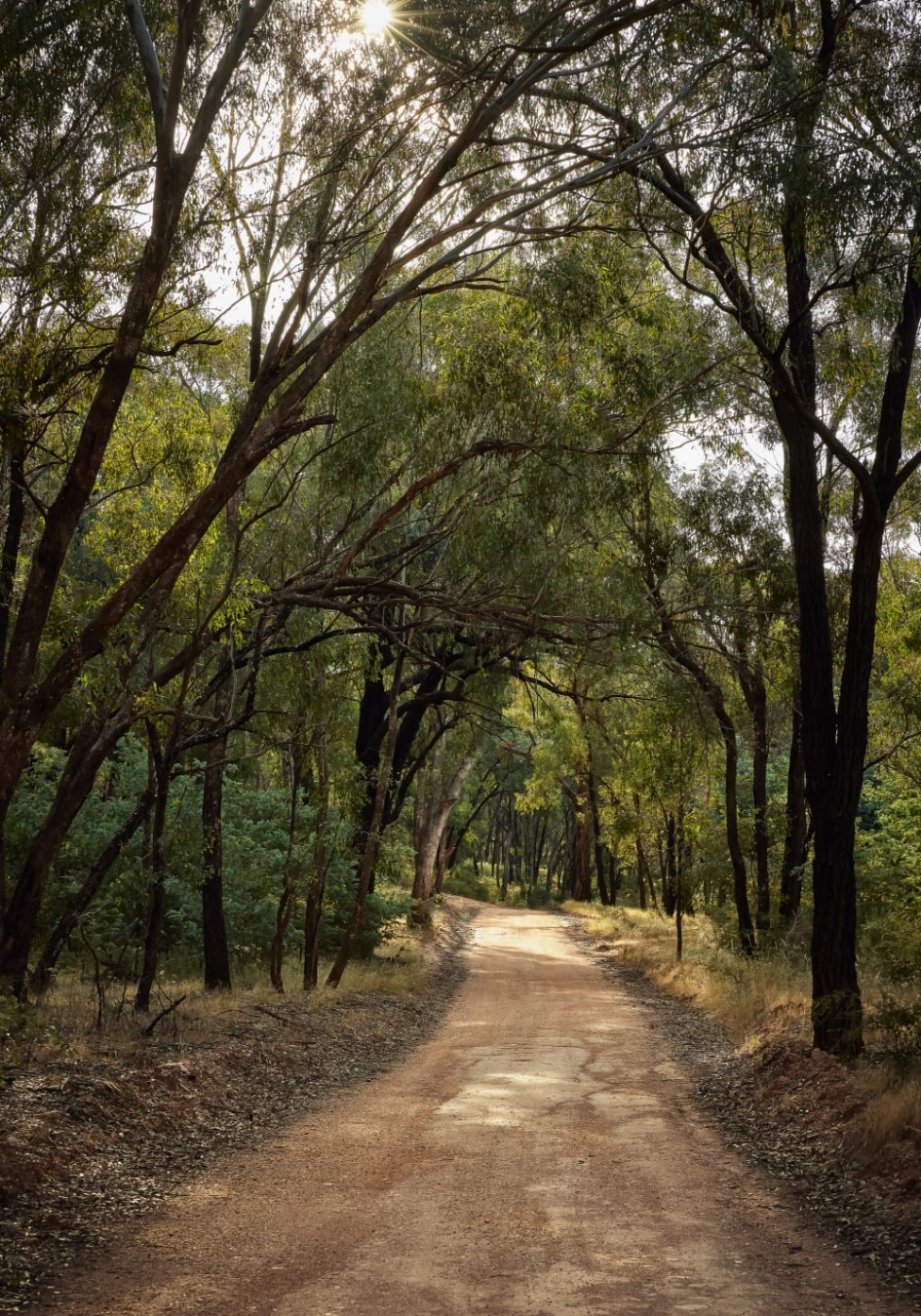 Cootamundra Homestead | Harper Lane Design